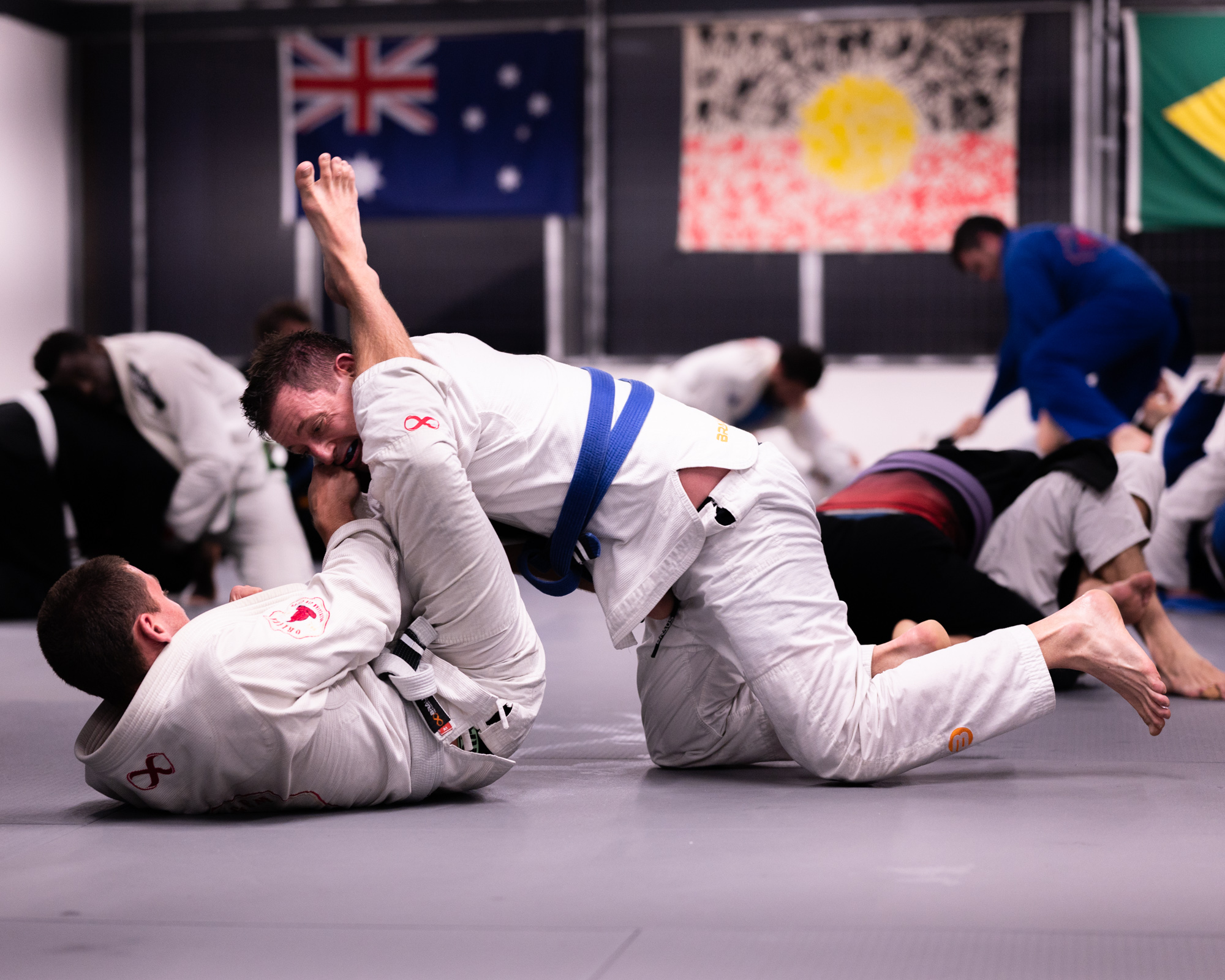 Open Mat Unified Brazilian Jiu Jitsu Fundamentals | Unified Brazilian